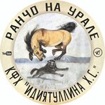 RanchonaUrale (Novaya ulitsa No:22, selo Ulu-Telyak), çiftlik tatili  Başkurdistan'dan