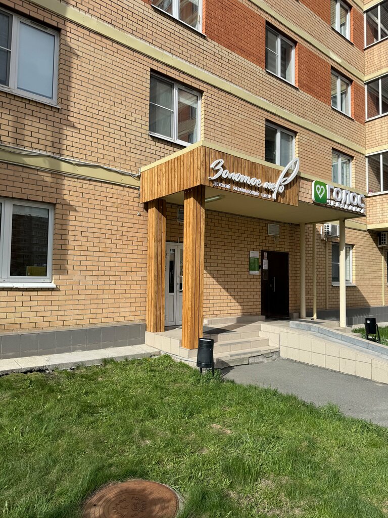 Özel okul Русская классическая школа Золотое перо, Çeliabinsk, foto