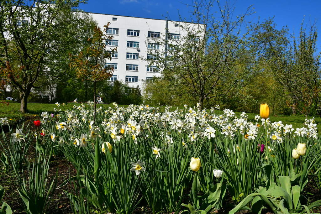 Hastane bölümü Инфекционная клиническая больница № 2, 7 инфекционное отделение МГЦ СПИД, Moskova, foto