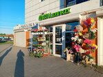 Цветы для всех (Internatsionalnaya Street No:76), çiçekçiler  Kaliningrad'dan
