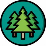 Ангара лес (Leytenanta Shmidta Street No:1Бк1), kereste üretim ve satış şirketleri  Nijni Novgorod'dan