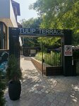Tulip (strada Arheolog Ion Casian Suruceanu No:17/2), restoran  Kişinev'den