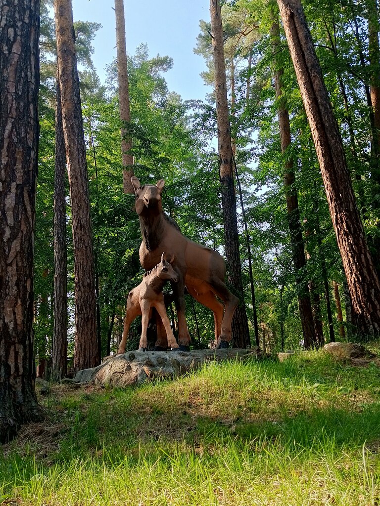 Tatil köyleri Baza otdykha Beryozka, Çeliabinskaya oblastı, foto