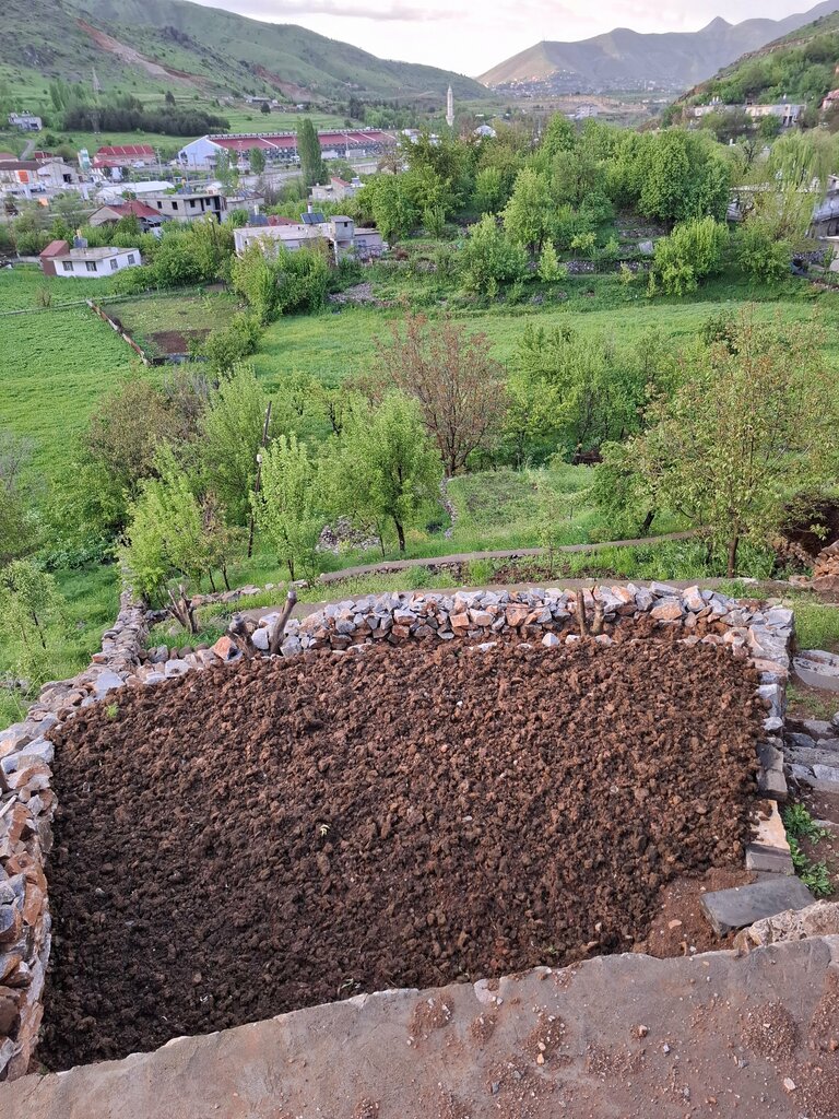 Cami Kireçtaşı Köyü Cami, Bitlis, foto