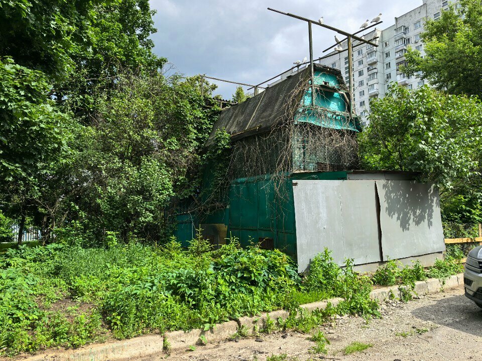 Evcil hayvan yetiştiricileri Голубятня, Moskova, foto