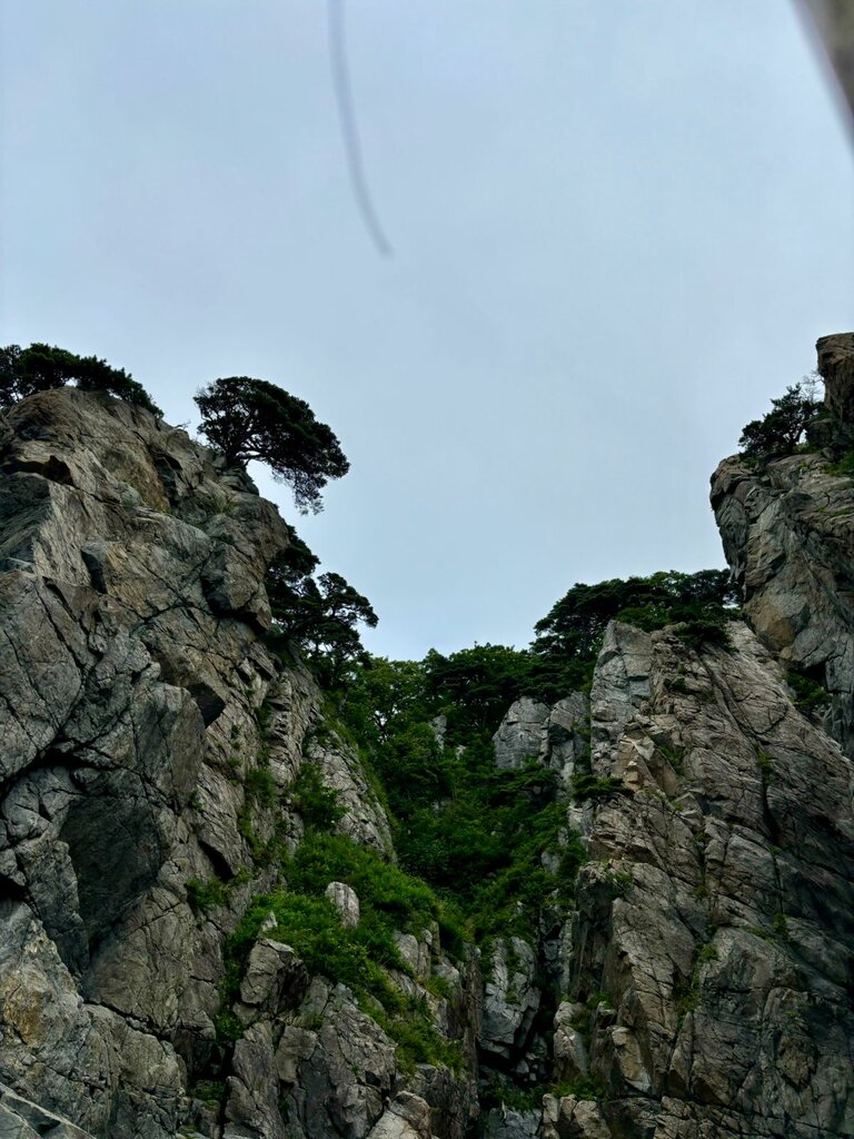 Tatil köyleri Рыжий Кот, Primoriye, foto