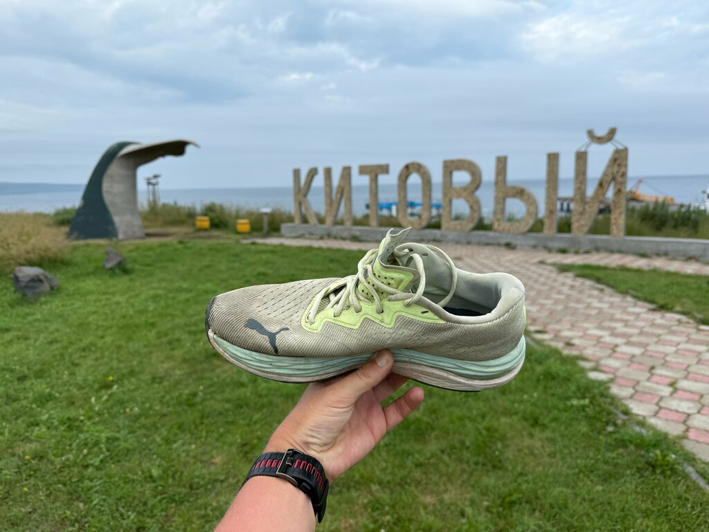 Giriş işareti Китовый, Sahalin Bölgesi, foto