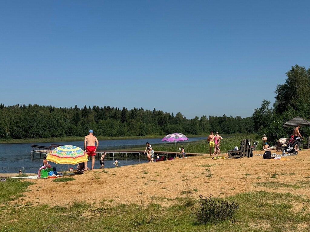 Plaj Beach, Moskova ve Moskovskaya oblastı, foto