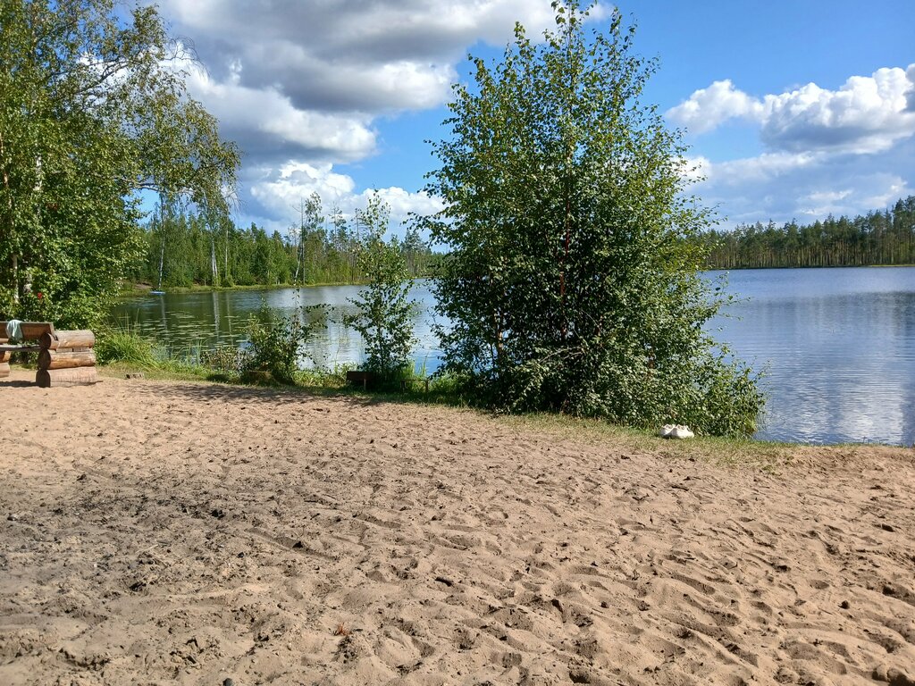 Seyir terası Панорама Оленьего озера, Saint‑Petersburg ve Leningradskaya oblastı, foto