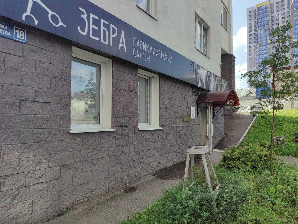 Kuaförler Zebra, Ufa, foto