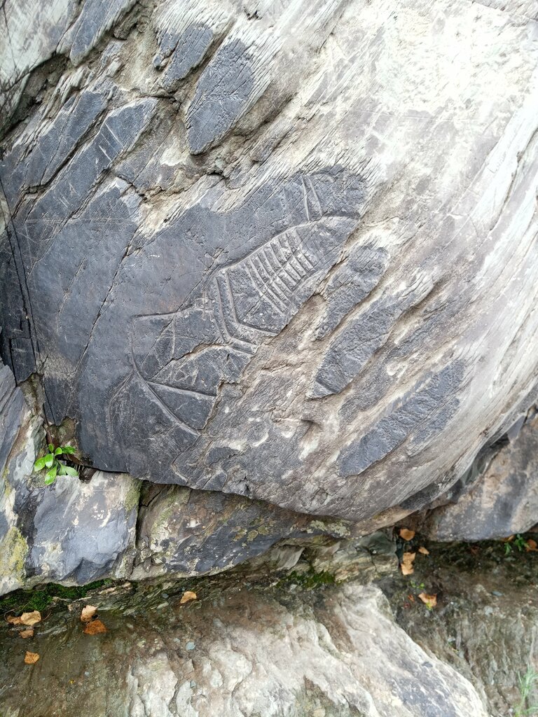 Turistik yerler Петроглифы, , foto