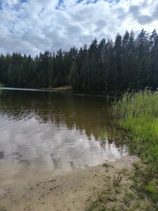 Пляж (St. Petersburg, Sestroretsk), plaj  Sestroretsk'ten