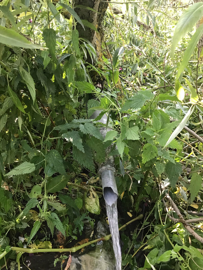 Pınar, çay Spring, stream, Moskova ve Moskovskaya oblastı, foto
