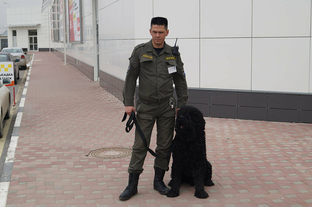 Güvenlik firmaları Private Security Organization Sokol-M, Krasnodar, foto