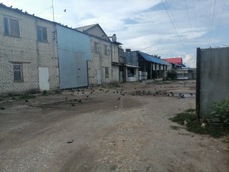 Tarım ürünleri firmaları Глобал АГРО, Saratov, foto
