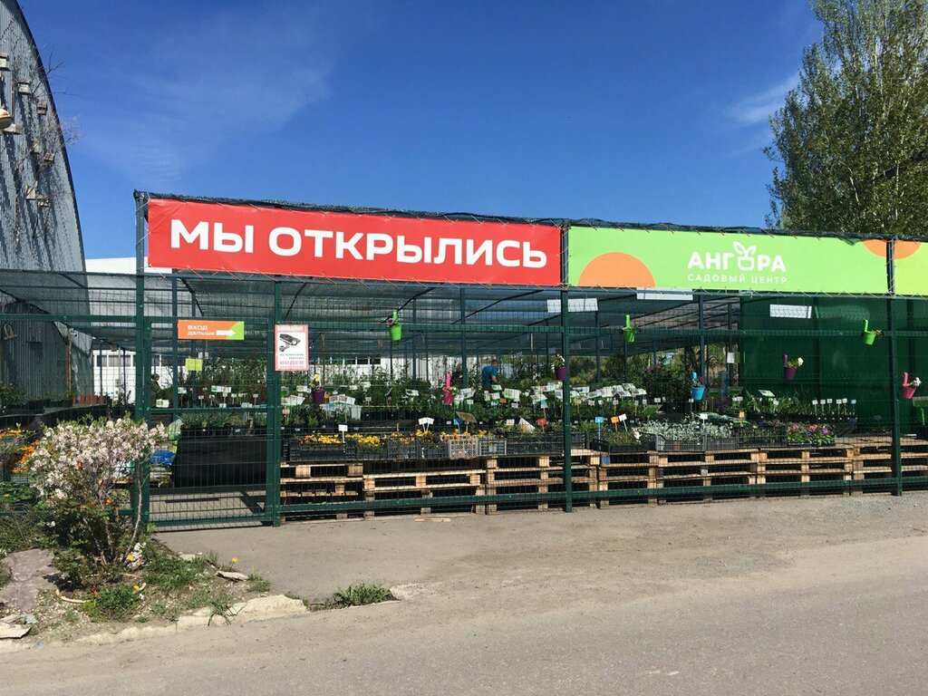 Fidan yetiştiriciliği Садовый центр, Kopeysk, foto