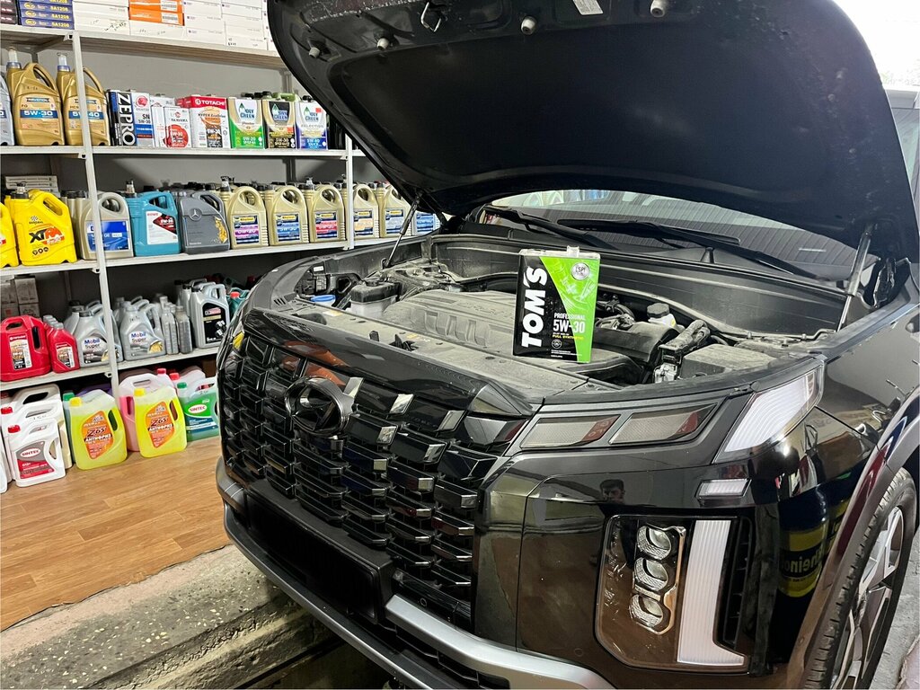 Express yağ değişim noktası Крутой поворот, Çeçen Cumhuriyeti, foto