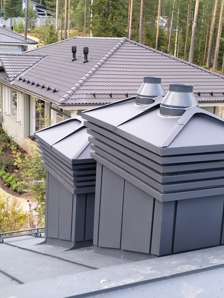 Çatı ve çatı materyalleri Doborych, Saint‑Petersburg, foto