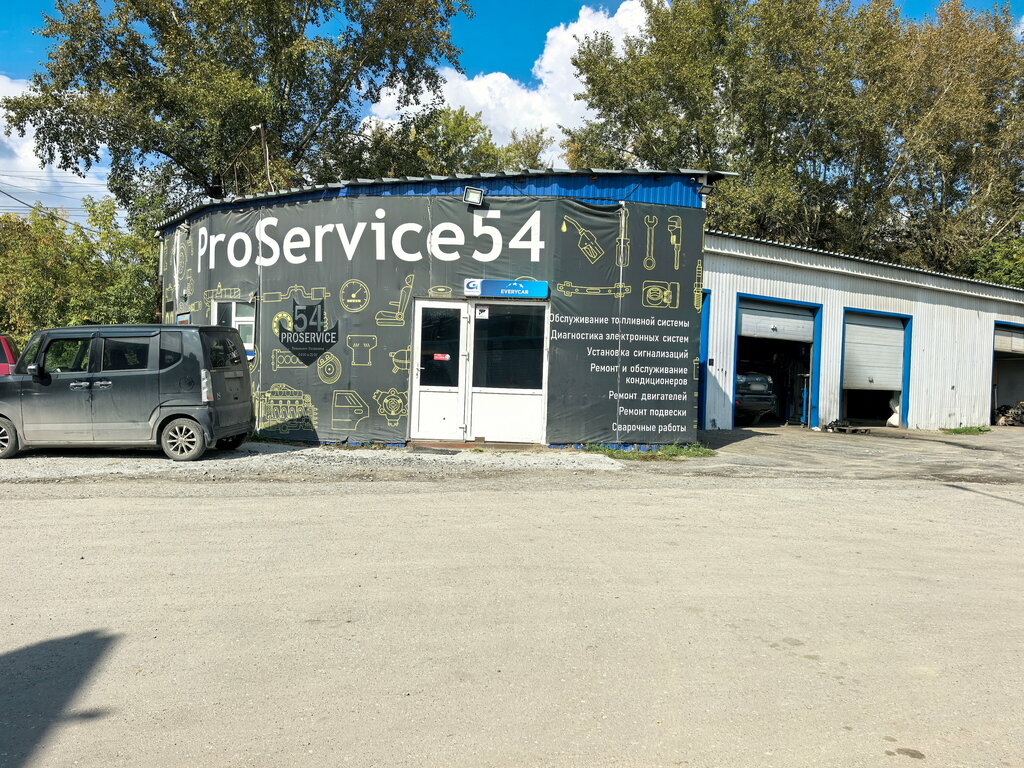 Otomobil servisi Proservice54, Novosibirsk, foto