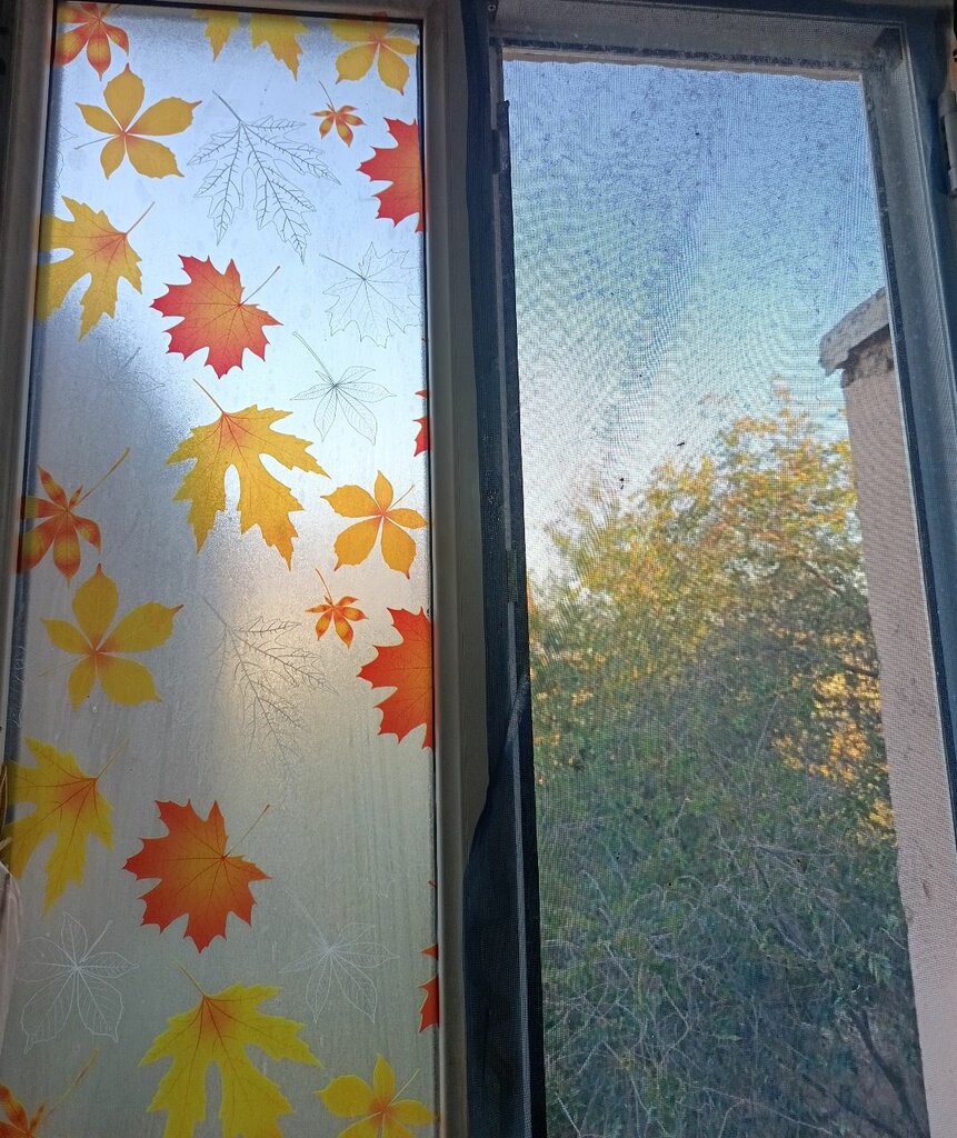 Süpermarket Afzal Market, Ürgenç, foto