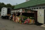 Кубанские арбузы и дыни (ulitsa Trudovoy Slavy No:9), manavlar  Krasnodar'dan