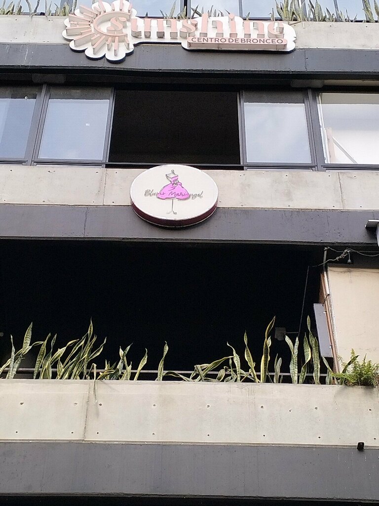 Büyük beden mağazaları Blusas Mariangel, , foto