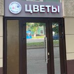 Песчаные Цветы (Bogdana Khmelnitskogo Avenue No:77), çiçekçiler  Belgorod'dan