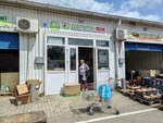 Дельта-пак (General-Leytenanta Zakharova Street No:2Д), paketleme malzemeleri firmaları  Kaliningrad'dan