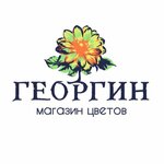 Georgin_64 (ulitsa imeni N.G. Chernyshevskogo No:4), çiçekçiler  Saratov'dan