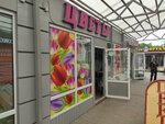 Цветы (ulitsa Bagrationa No:4/6, posyolok Amurskiy), çiçekçiler  Omsk'tan