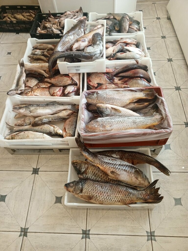 Balık ve deniz ürünleri Рыба, Mamadış, foto