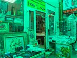 Изделия из натурального камня (Kronshtadtsky Boulevard No:7Б), bijuteriler  Moskova'dan