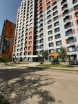 Diploms.kz (Kanysh Satbayev Street No:90/55), kurs  Almatı'dan