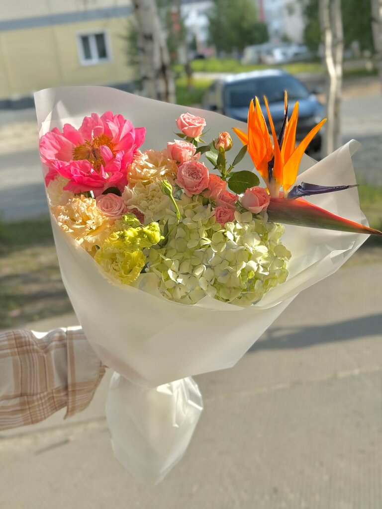 Çiçekçiler Новоселов 16 Цветы, Kogalym, foto