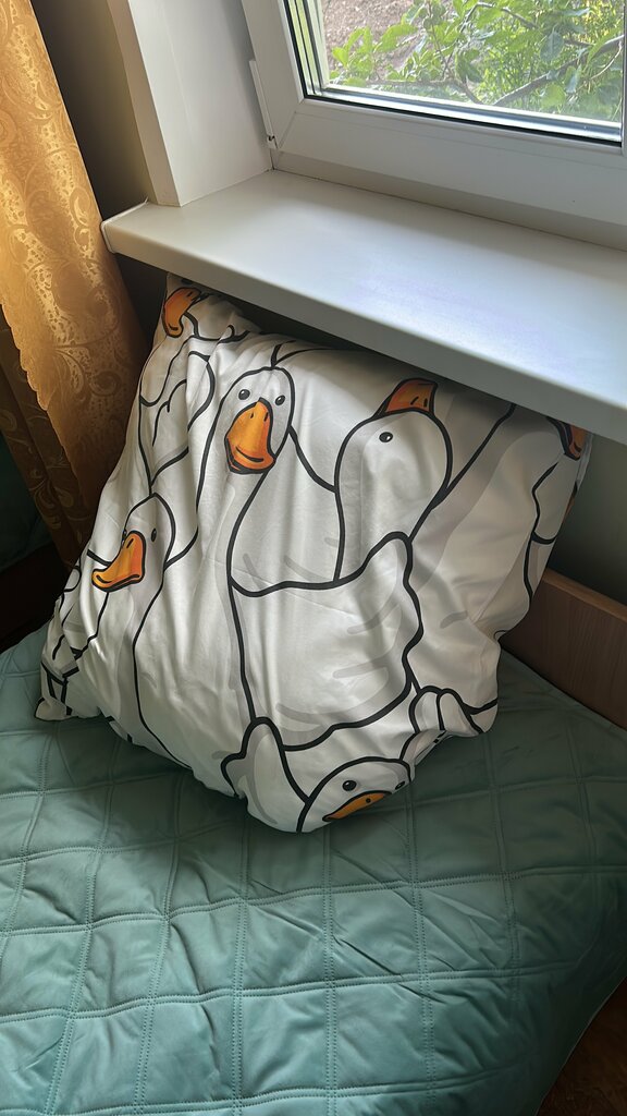 Konuk evi Две гусыни, Hakasya, foto