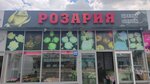 Розария (ulitsa Generala Trosheva No:1/12), çiçekçiler  Krasnodar'dan