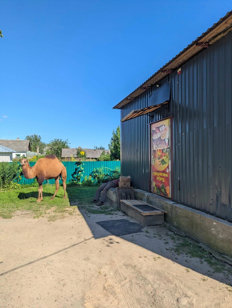 Market Александрина, Mogiliovskaya oblastı, foto