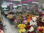 Ilona Flowers (Tigran Mets Avenue No:74), çiçekçiler  Erivan'dan