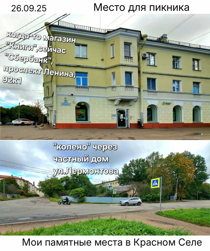 Piknik alanı Место для пикника, Krasnoye Selo, foto
