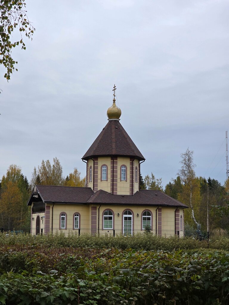 Ortodoks kiliseleri Church of Saint George the Victorious, Saint‑Petersburg ve Leningradskaya oblastı, foto