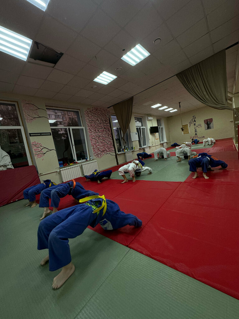 Spor kulüpleri Sakura Judo Club, Podolsk, foto