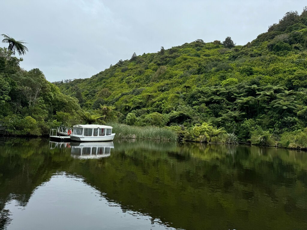 Doğa koruma alanı Zealandia Te Māra a Tāne, Wellington, foto