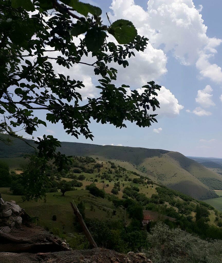 Muhtarlıklar Kutluşar Köyü Muhtarlığı, Şabanözü, foto