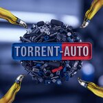 Torrent-Auto (ulitsa Gribanova No:26), otomobil yedek parçaları  Volgograd'dan
