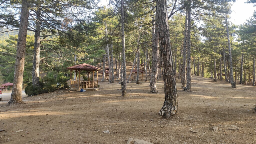 Doğa koruma alanı Honaz Dağı Milli Parkı, Honaz, foto