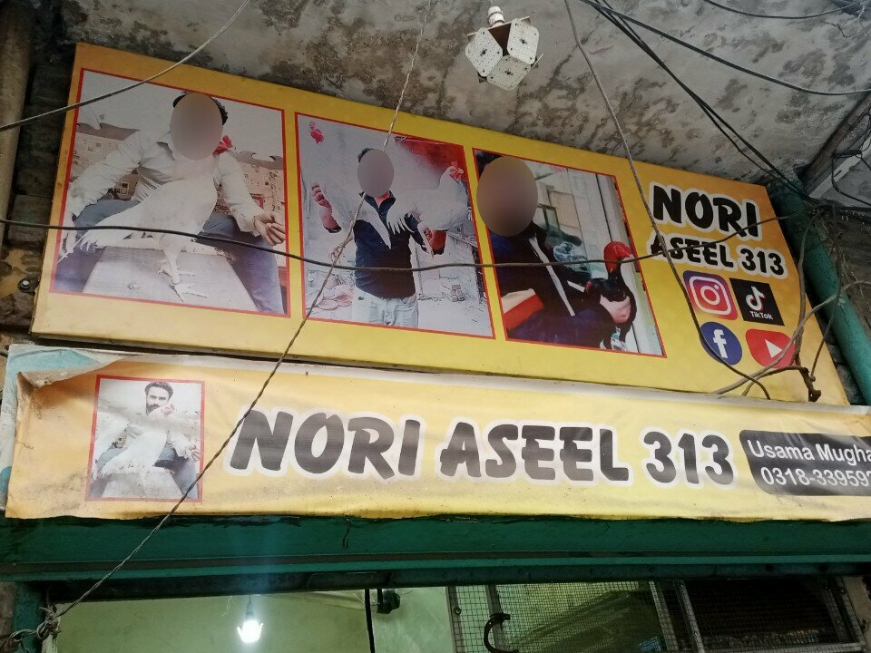Müzik kulüpleri Noori Aseel 313, Rawalpindi, foto