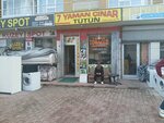 7 Yaman Çınar Tütün (Konya, Karatay, Sarıyakup Mah., Han Sok., 2O), tütün, sigara mağazaları  Konya'dan