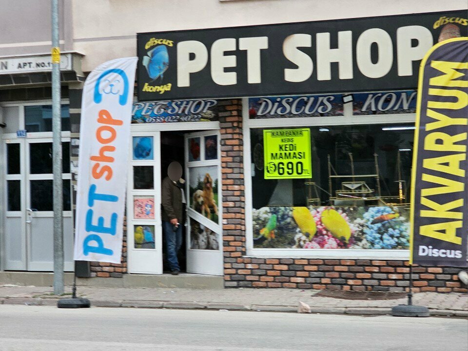 Petshop Discus Konya, Konya, foto