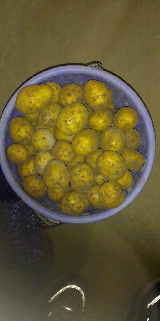 Tarım firmaları Цнянские экопродукты, Minskaya oblastı, foto