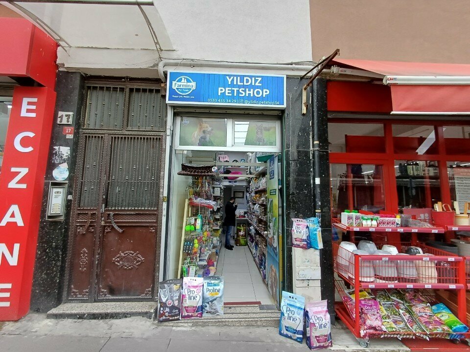 Petshop Yıldız Petshop, İstanbul, foto